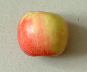 Munsell Unlocked My Palette Part 2: How Artists Can Mix Any Colour They ...