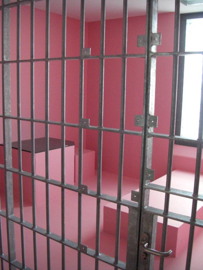 Color Influence and Perception: An Interview with Drunk Tank Pink ...