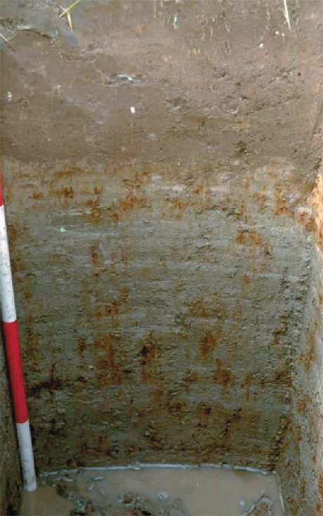 Rusty Soils in the Boreal Forest | Munsell Color System; Color Matching ...