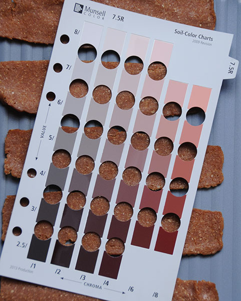 Bacon Color from Chewy to Extra Crispy | Munsell Color System; Color ...
